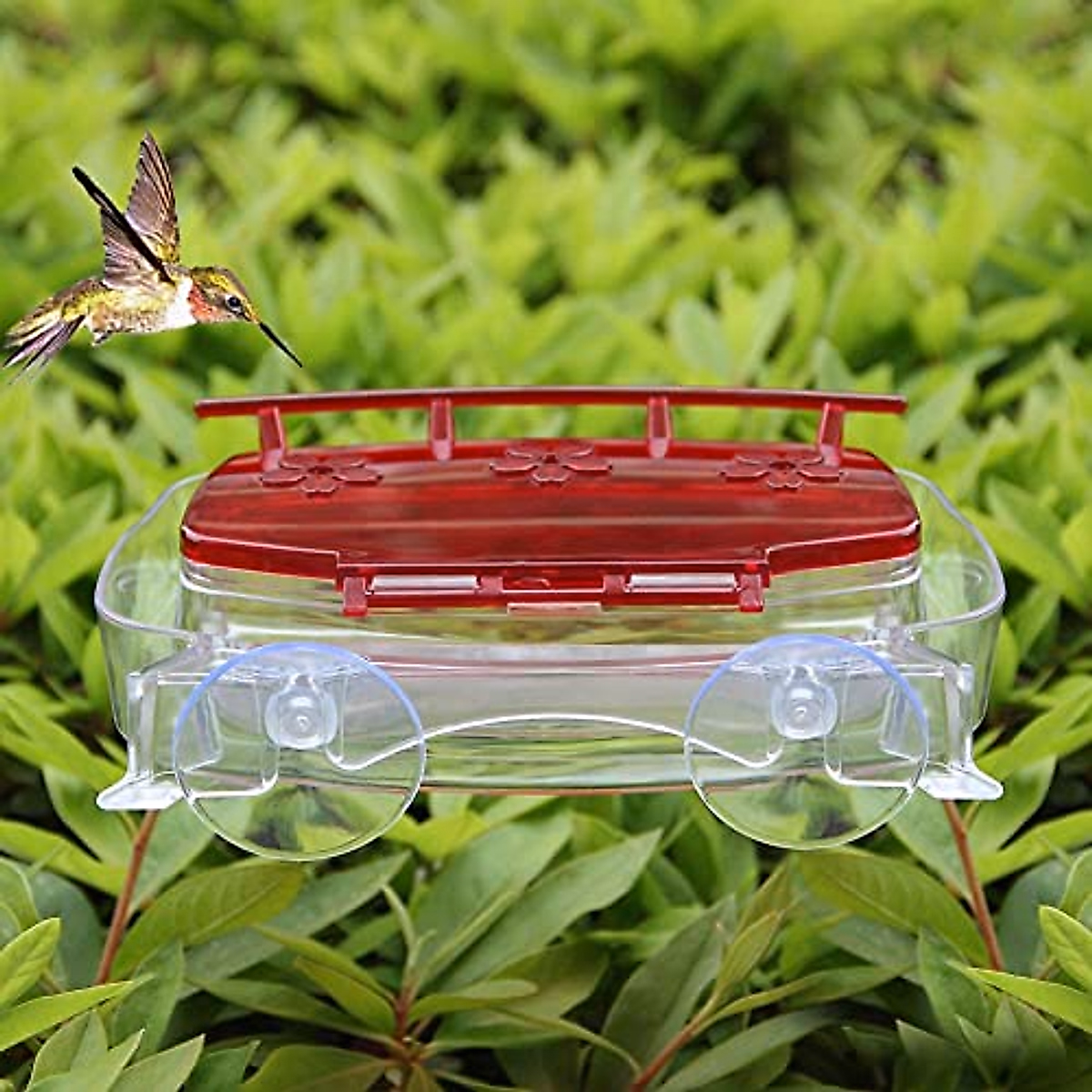 Juegoal Window Hummingbird Feeder, 8-Ounce