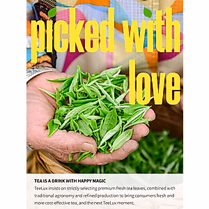 TeeLux Decaf Earl Grey Tea Bags, Decaffeinated Black Tea Blended with Natural Bergamot, Smooth & Full-Bodied, Enjoy Hot or Iced, 100 Count