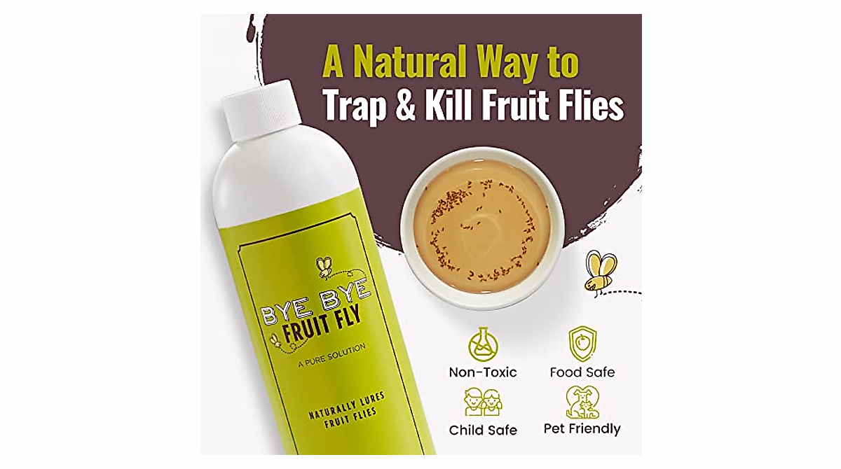 Bye Bye Fruit Fly: Natural Indoor Fly Killer Solution