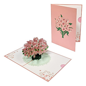 Magic Ants 3D Magnolia Pop Up Flower Card - Perfect for Mother's Day, Spring, Father's Day, Graduation, Birthdays, Weddings, Anniversaries, and More - Express Your Wishes for All Occasions