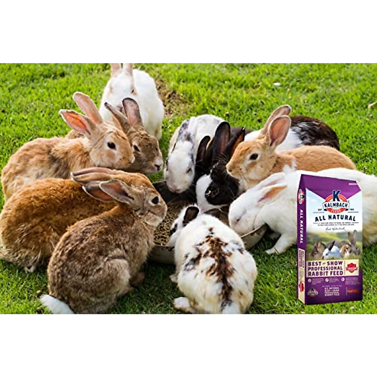 Kalmbach Feeds 18% Best in Show Rabbit Feed for All Rabbits, 50 lb Bag