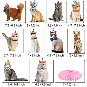 10Pcs Cat Honeycomb Centerpieces Cat Birthday Party Supplies Kitten Party Decorations Lovely Cat Decoration Table for Cat Theme Birthday Party Baby Shower Supplies