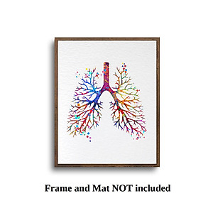 Dignovel Studios 8X10 Unframed Lung Anatomy Human Body Watercolor Art Print Poster Medical Science Housewarming Wall Art Giclee Office Home Decor DN541