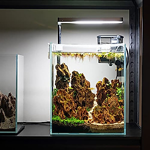 HIRO Aquatics Nano Tall Rimless Aquarium, Low Iron Glass Framless Tank, Betta Fish Tank, White Leveling Mat Included (5 Gallon- 25X25X30cm)