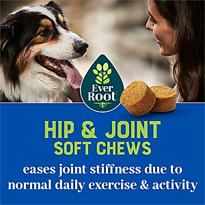 EverRoot by Purina Hip and Joint Dog Supplements Soft Chews - 10.6 oz. Canister