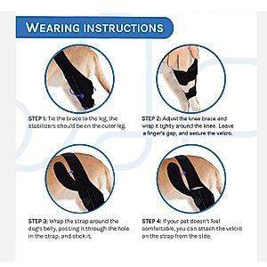 Dog Knee Brace for Torn ACL Hind Leg - Adjustable Leg Support for Hip Dysplasia, Dog Arthritis, Inflammation, Luxating Patella - Comfortable and Durable Dog Leg Braces for Back Leg - Black (Small)