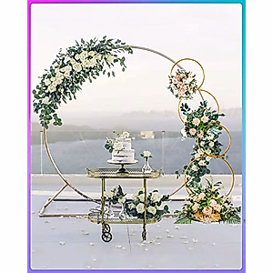 YALLOVE 5Ft Wedding Round Hoop Backdrop Stand, Detachable 4 Tier Gold Metal Flower Arch Frame for Photo Booth Background, Aisle Decor, Table Centerpiece, Stage Display, and More, Flower NOT Included