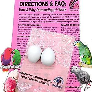 DummyEggs 2 Medium Parrot Dummy Eggs to Control Laying! 1.5" x 1" (3.7 x 3cm) Non-Toxic Solid Plastic Fake Bird Eggs African Grey, Eclectus, Azn, Small Cockatoo or Macaw. Ship Fast USA