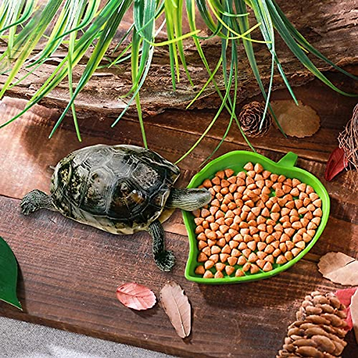 Reptile Feeding Bowl, 4pcs Leaf Reptile Water Food Feeder Bowl Worm Dish, Reptile Feeding Tongs Long Tweezers Cricket Clamp Bug Scooper Feeder Tool for Tortoise Snake Lizard Gecko Bearded Dragon