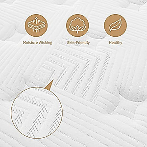 TeQsli Full Mattress, 10 Inch Memory Foam Innerspring Hybrid Mattress in A Box