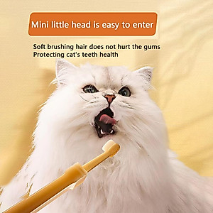 2Pcs Small Dog & Cat Toothbrush Kit with Storage Box, Soft Silicone Cat Dog Tooth Brushing Kit, Tongue Cleaner for Pet Tooth Brushing | Easy to Handle | Deep Clean for Toothbrush for Dogs Small Breed