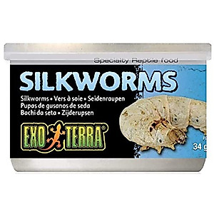 Exo Terra Specialty Reptile Food, Canned Silkworms for Reptiles, PT1954