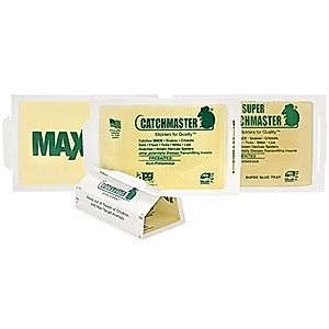 Full Case of 72 Catchmaster Mouse/Spider/Insect/Scorpion Glue Board Sticky Traps Peanut Butter Scent