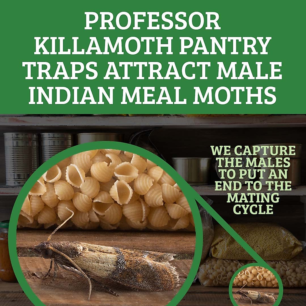 Pantry Moth Traps 6 Pack | Child and Pet Safe | No Insecticides | Premium Attractant