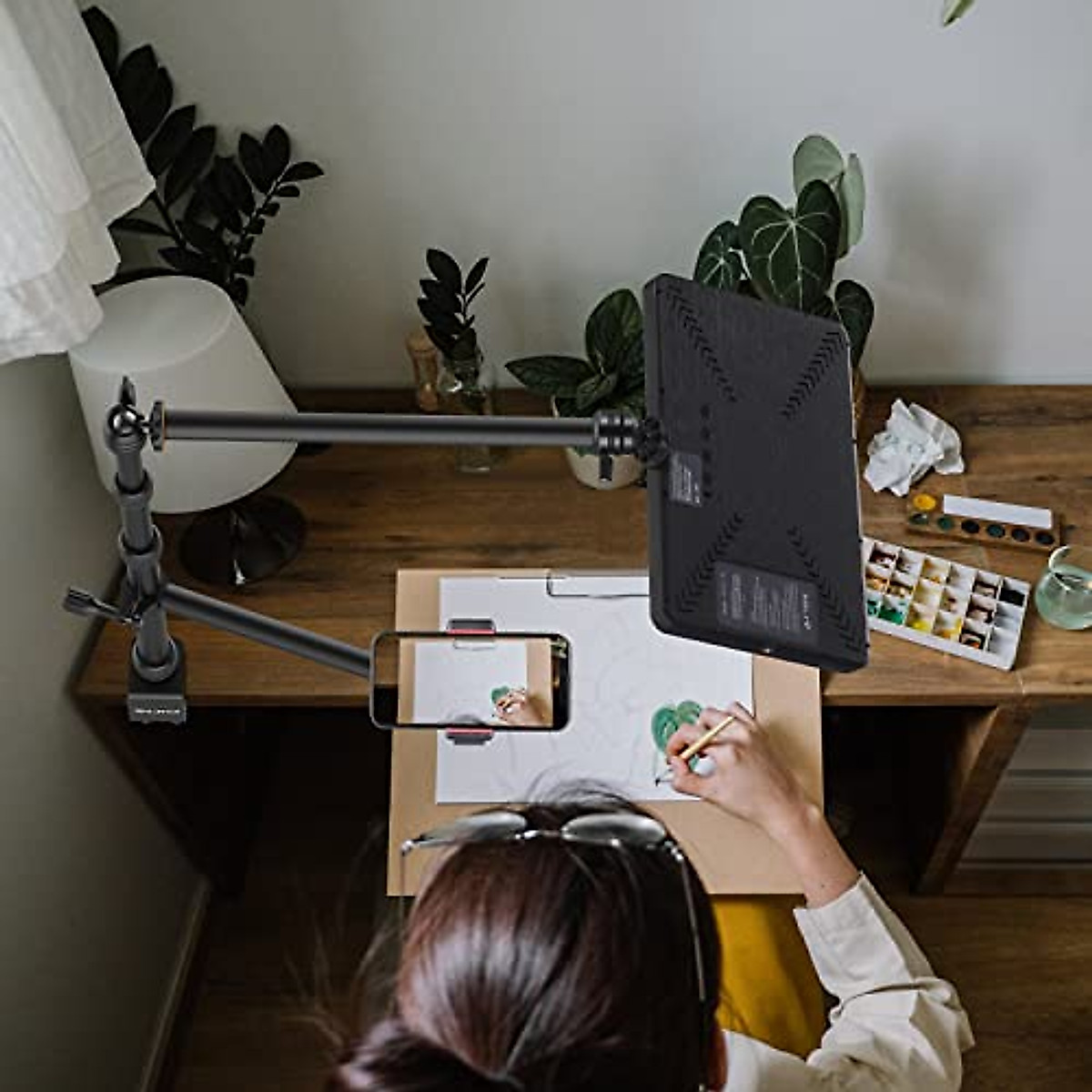 JUSMO Auxiliary Holding Arm with 360° Ballhead for Small Camera/Gopro/Light/Webcam and More, Suitable for 20mm-30mm Rod Pole (LS02A)