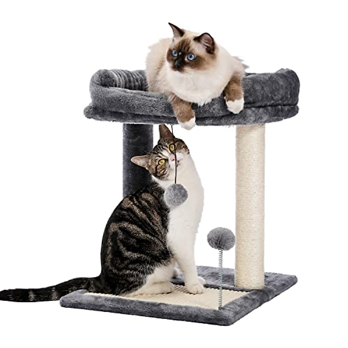 PAWZ Road Cat Scratching Post Bed, Featuring with Soft Perch Sisal-Covered Scratch Posts and Pads with Play Ball Great for Kittens and Cats