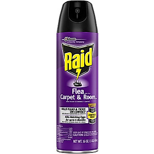 Raid Flea Killer Carpet and Room Spray (16 Ounce (Pack of 6))