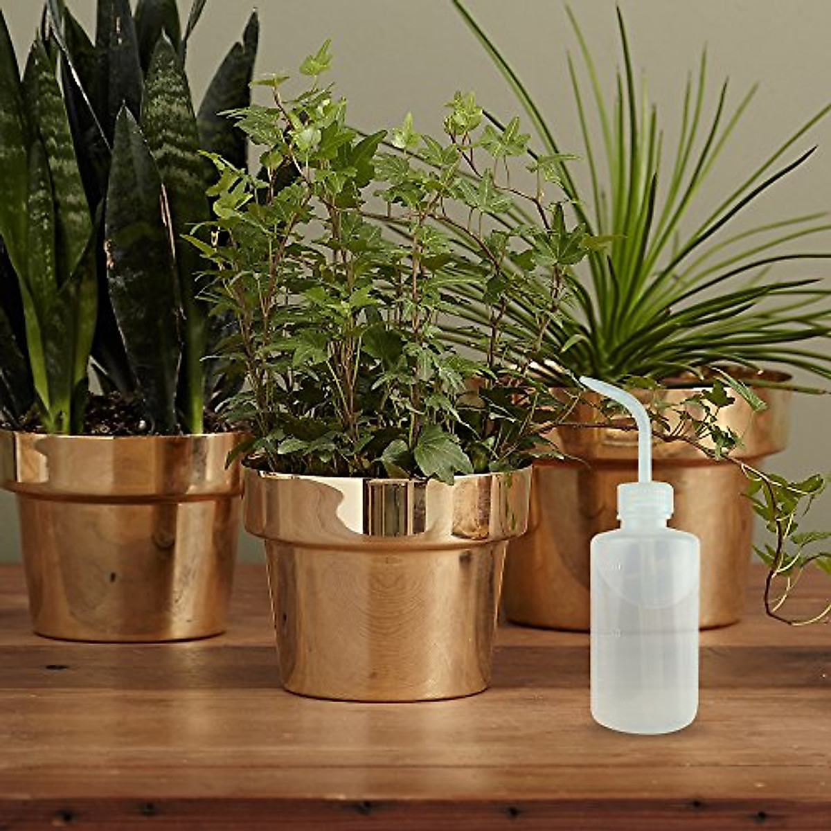 ZOND 3 Pack 250ml Succulent Water Bottle, Bonsai Watering Bottle, Squeeze Bottle for Multi-Purpose Makeup Liquids