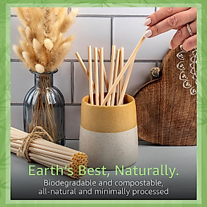 Ibambo 250 Pack Disposable Bamboo Powder Straws - 7.88" Compostable Single Wrapped Drinking Straws | Durable Disposable Straws for Hot & Cold Drinks | Biodegradable Straws for Commercial or Home Use