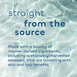 Seaweed Bath Co. Detox Body Scrub, Rosemary Mint Scent, 6 Ounce, Sustainably Harvested Seaweed, French Sea Clay, Coffee Extract