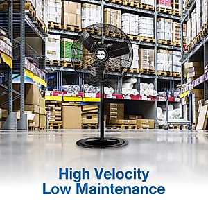 Air King 9125 24-Inch Industrial Grade Oscillating Pedestal Fan