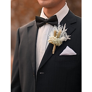 Dried Flowers Boutonnieres Set of 2 for Men Boho Fall Wedding Grooms Buttonhole Rustic Best Man Pampas Grass Dry Flower Decoration (Beige)