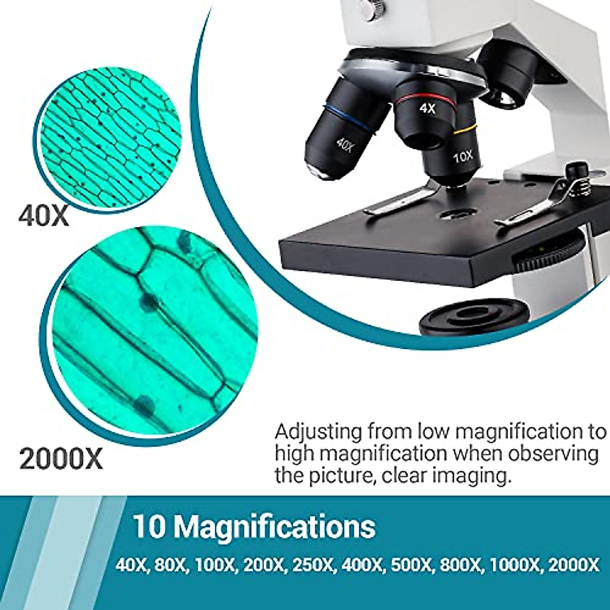 Microscope Biological for Kids, Students and Adult 250X-2000X Powerful Biological Children's Microscope Set for School Laboratory Home Biological Scientific Research Education