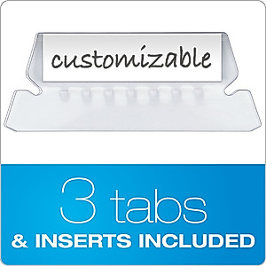 Pendaflex Portable File Box, Frosted White, Hinged Lid with Double Latch Closure, 3 Black Letter Size Hanging Folders Included (41745AMZ)