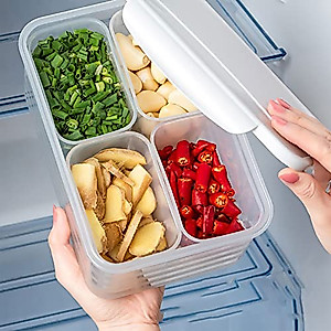 Generic Minimalist Multi-Compartment Food Storage Container with 4 Compartments, 22x14.5x10cm/8.66x5.7x3.93in, White, Portable, Airtight, Microwave, Dishwasher, Freezer Safe