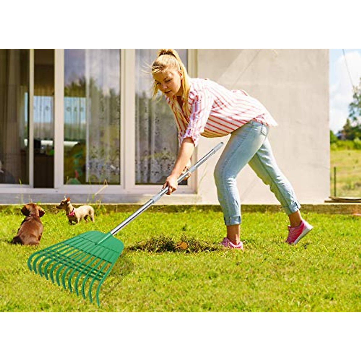 Gardzen 12 Tines Gardening Leaf Rake, Lightweight Steel Handle, Detachable, Ideal Camp Rake, Comes with Dustpan-Type Garden Bag