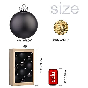 10PCS 2.64"(67mm) Christmas Ball Ornaments for Christmas Decorations, Glass Ball Present for Xmas Trees,Festival, Home Party and Wedding Party, Xmas Tree Decorations Set(Black)