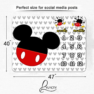 LYLYCTY Baby Monthly Milestone Blanket for 1 to 12 Months Baby, Cartoon Mouse Blanket for Baby Pictures Personalized, Includes Wreath and Frame 48"x40" BTZYLY38