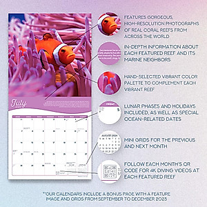 Coral | 2024 Wall Calendar | 12x24 Inch | Marble City Press
