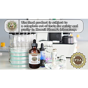 HawaiiPharm Joint Relief, Veterinary Natural Alcohol-Free Liquid Extract, Pet Herbal Supplement 2x2 oz