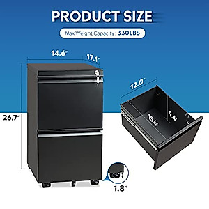 DEVAISE 2-Drawer Mobile File Cabinet with Lock, Vertical Filing Cabinet, Black