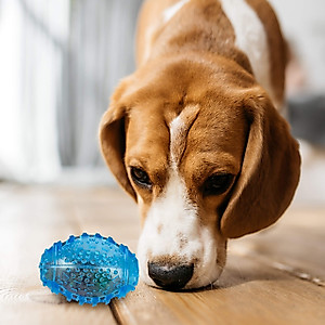 Relaxdays Chew Set of 2, Dog Toy Dental, Squeaks, Bite-Proof, Robust, 2 Sizes Teeth Cleaning Balls, Green/Blue, One
