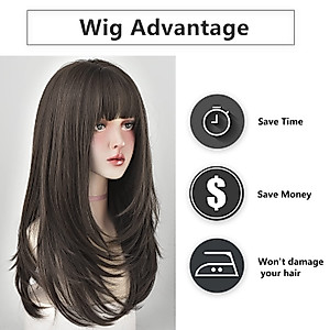 7JHH WIGS Hair Dye Wig for Women Synthetic Hair Natural Long Straight Wig With Bangs (22inch, Cold brown)