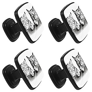 4 Pieces Kitchen Cabinet Knobs, Grey Sleepy Cats Glass Crystal Knobs for Dresser Drawers Cupboard Furniture Pulls Hardware Square Knobs