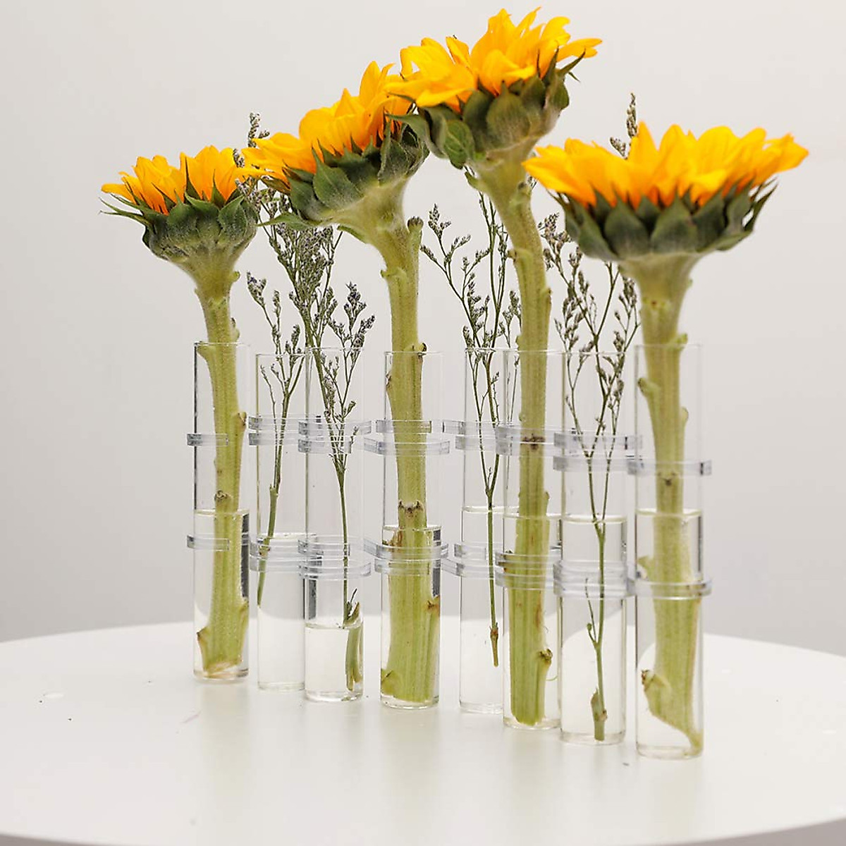 DOITOOL 8Pcs Test Tube Vase Decorative Glass Vase Hinged Bud Test Tubes Vases Planter Arranging Container Hydroponic Holder Decor with Hooks and Brushes 18cm