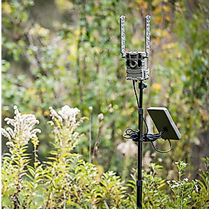 TACTACAM Reveal Adjustable Camera Stake with Solar Panel Mount - Fits All Trail Cameras and Cellular Cameras with 1/4" 20 mounts