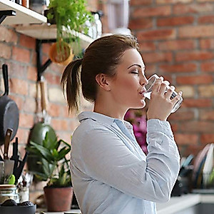 DayOne Today DOT Universal High Performance Carbon Block Filters, S, Black Standard Pack