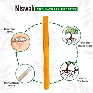 Golden Miswak Sticks for Teeth, MAY Sewak Toothbrush, Natural Toothbrush for Whiter Teeth, Lightweight Wood Brush for Healthy Gums, Muslim Tooth Stick, Condensed Miswak Extract, Yellow