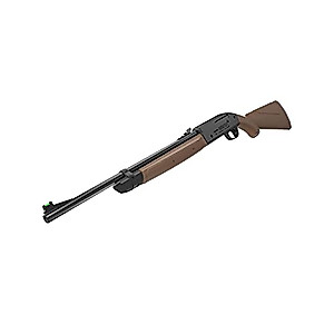 Crosman 2100B Classic Variable-Pump .177-Caliber Pellet/BB Air Rifle