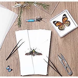 Making Insect Specimen Tools Kit, with Insect Pins,Insect Pinning Board, Wings Pressing Paper,Tweezers, Scissors, Insect Display Case, Insect Collection for Bug Hobbyist/Biology Projects
