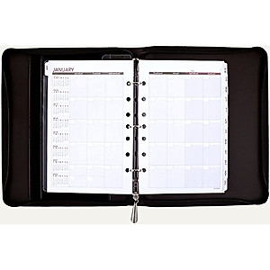 AT-A-GLANCE Day Runner Day Planner, Windsor QuickView, Refillable, Black (101-0299)