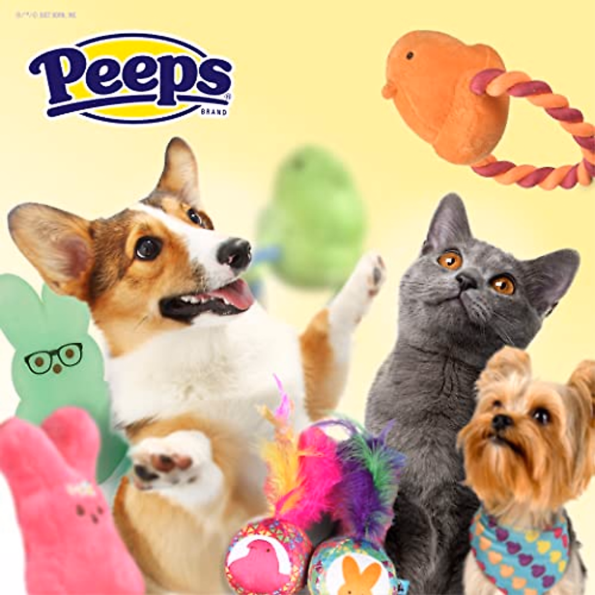 Peeps for Pets Plush Chick Rope Pull Toy for Dogs Squeaker Dog Toy, Yellow/Blue | Soft and Cute, Plush Squeaky Dog Chew Toy with Rope to Add to Dog Toy Bin 6 Inch