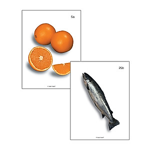 Super Duper Publications | Webber® Food Photo Flash Card Deck | Educational Learning Resource for Children