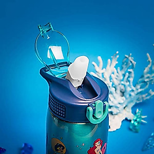 Zak Designs Disney Princess Water Bottle for Travel and At Home, 19 oz Vacuum Insulated Stainless Steel with Locking Spout Cover, Built-In Carrying Loop, Leak-Proof Design (Disney Princess)