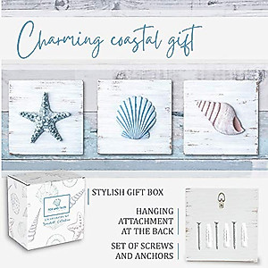 TideAndTales 3D Seashell Art - Set of 3, 6”x6” Beach Wall Decor for Bathroom, Hand-Painted Rustic Shells and Starfish, Ocean Theme Coastal Decorations for Home or Beach House