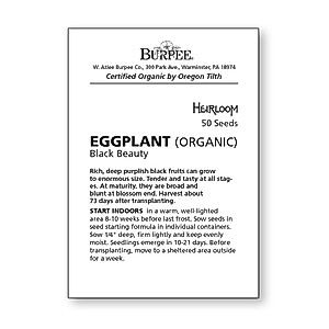 Burpee Black Beauty (Organic) (Heirloom) Eggplant Seeds 50 seeds